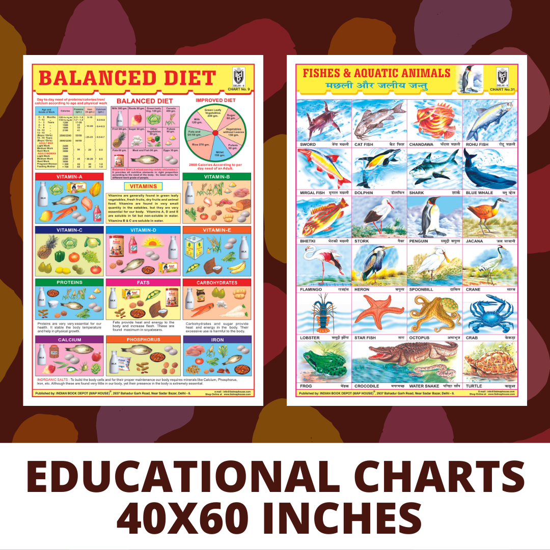 40x60 Charts