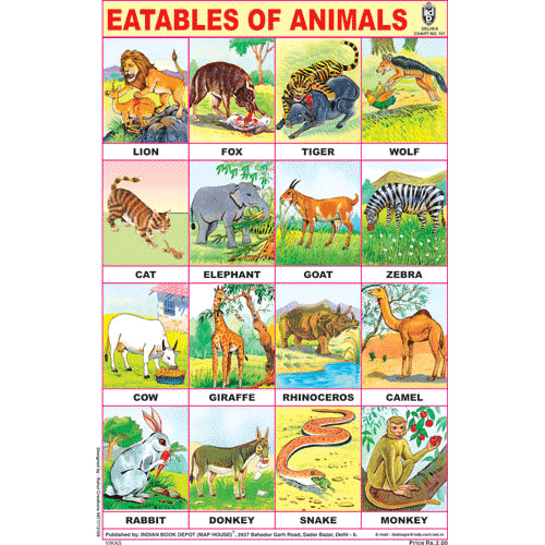 EATABLES OF ANIMALS SIZE 24 X 36 CMS CHART NO. 151