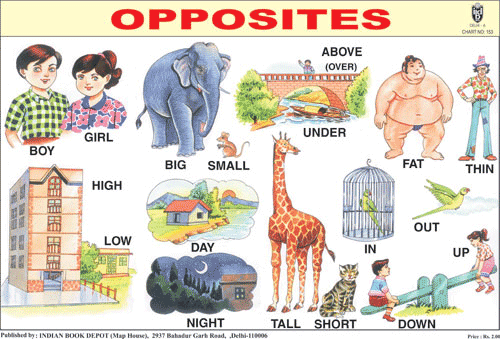 Opposite Chart With Pictures