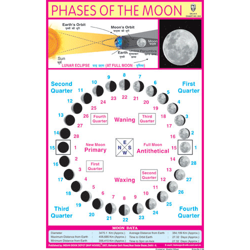 PHASES OF THE MOON SIZE 24 X 36 CMS CHART NO. 204