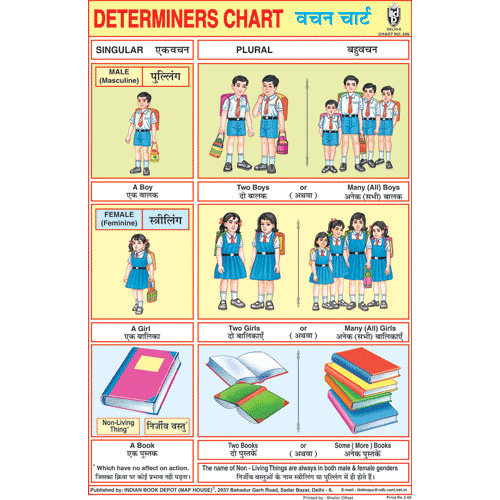 DETERMINERS CHART SIZE 12X18 (INCHS) 300GSM ARTCARD