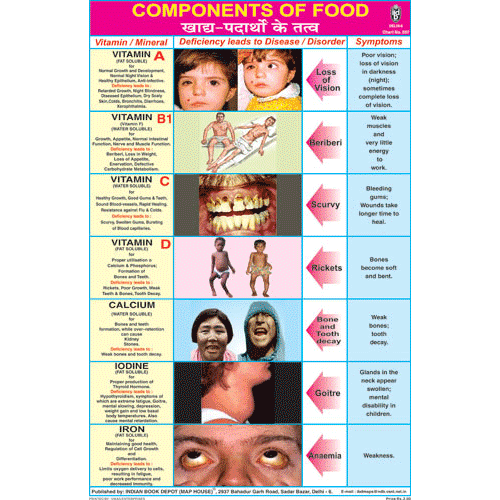 COMPONENTS OF FOOD CHART SIZE 12X18 (INCHS) 300GSM ARTCARD