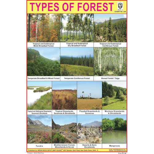 TYPES OF FOREST SIZE 24 X 36 CMS CHART NO. 258