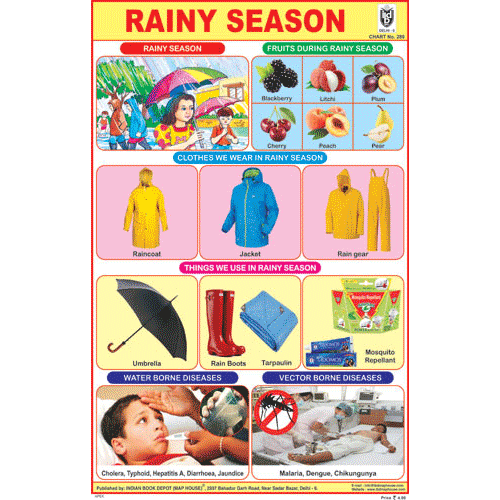 RAINY SEASON CHART SIZE 12X18 (INCHS) 300GSM ARTCARD