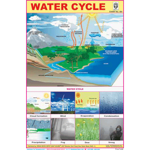 WATER CYCLE SIZE 24 X 36 CMS CHART NO. 304