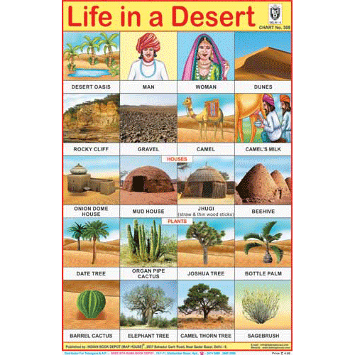 LIFE IN DESERT SIZE 24 X 36 CMS CHART NO. 308