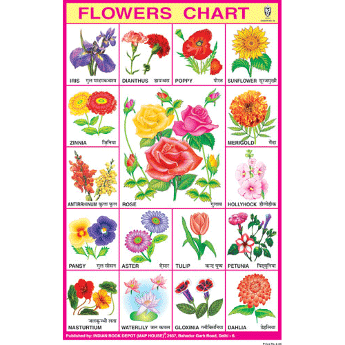 FLOWERS CHART (BIG) SIZE 24 X 36 CMS CHART NO. 35