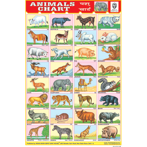 ANIMALS CHART 32 PHOTOS SIZE 24 X 36 CMS CHART NO. 3