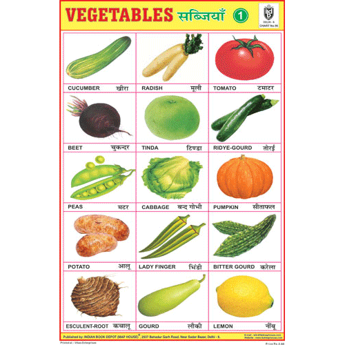 Indian Vegetables Names With Pictures In English