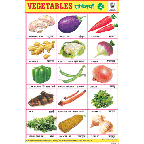 Indian Vegetables Names In English Buy Learn Vegetable Name Online In
