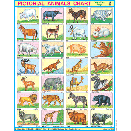 Wild Animals Pictures Chart