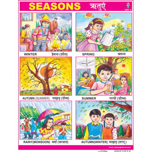 SEASONS CHART SIZE 45 X 57 CMS