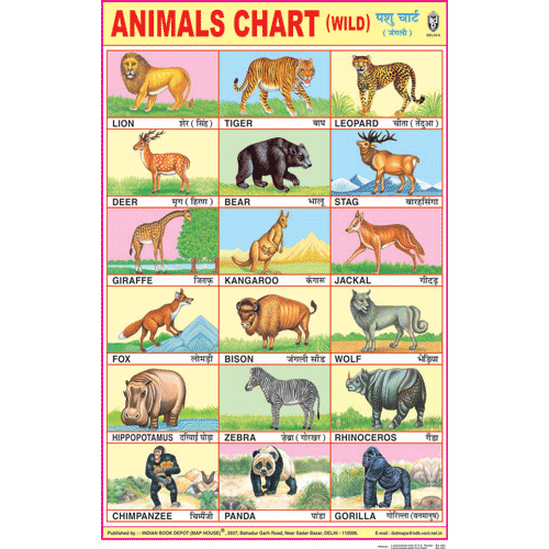 All Wild Animals Chart