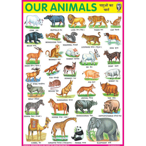OUR ANIMALS CHART SIZE 70 X 100 CMS